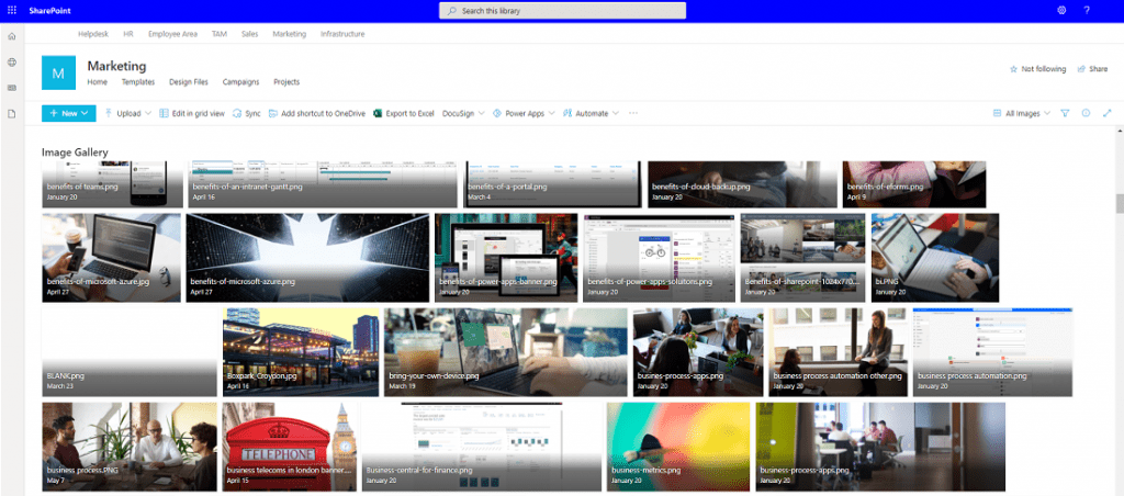 SharePoint Digital Asset Manager - DAM Software - Akita